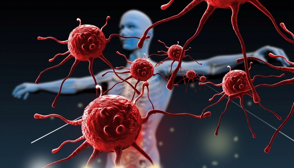 Des scientifiques ont découvert un tout nouveau « micro-organe » dans ...