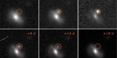 Le meilleur de l'actualité scientifique | Trust My Science