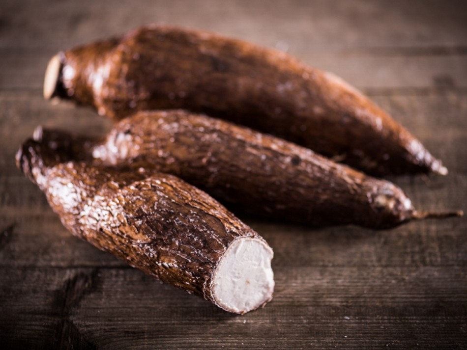 Du manioc « superchargé » génétiquement modifié pourrait bien aider à ...