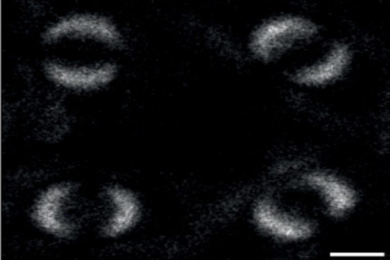 Des physiciens révèlent la toute première image de l'intrication ...