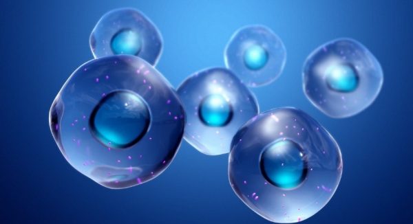 Comment les premières cellules ont-elles pu émerger et évoluer sur la ...