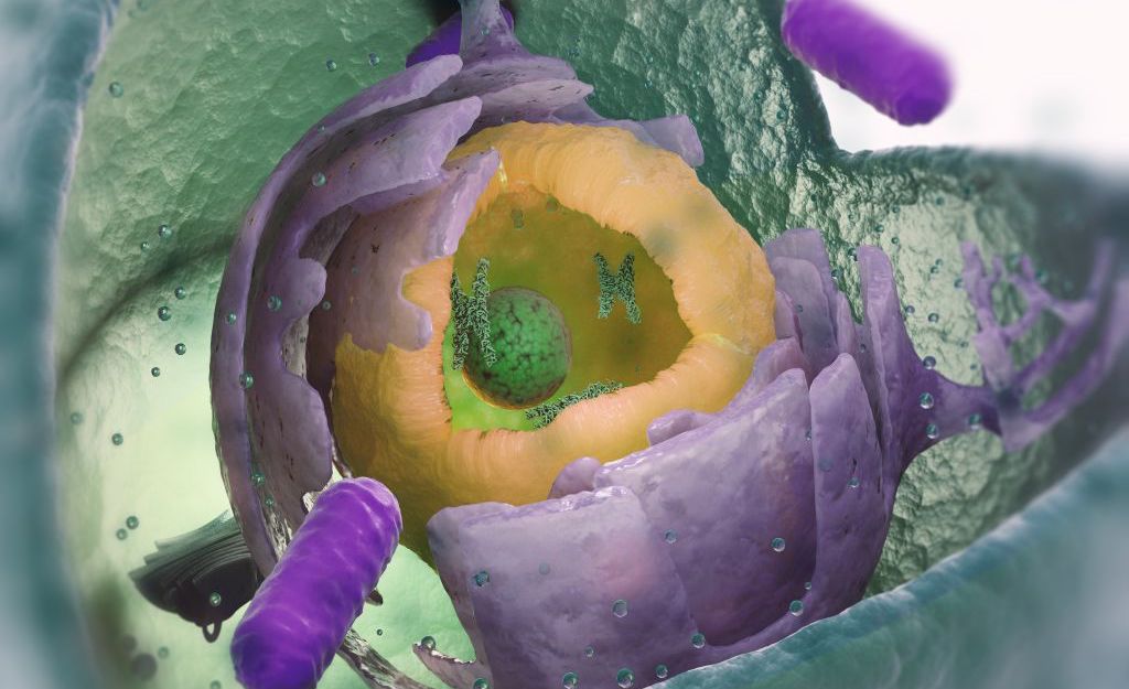 Cet étrange organisme des profondeurs pourrait cacher des secrets sur ...