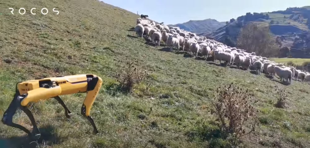 Une société propose d’améliorer le chien-robot de Boston Dynamics pour ...