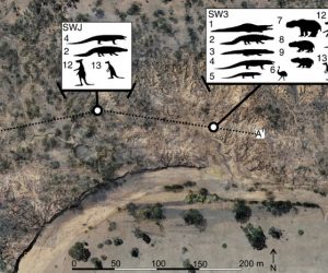 Le meilleur de l'actualité scientifique | Trust My Science