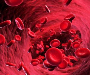 Le meilleur de l'actualité scientifique | Trust My Science