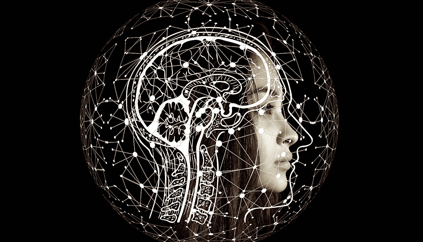 La science d'une personnalité curieuse, créative et/ou entreprenante