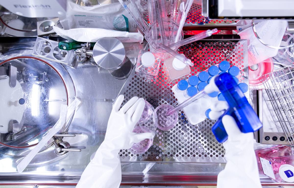 Un patient reçoit le premier vaccin « personnalisé » contre son cancer