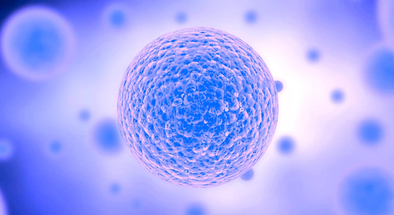 Des chercheurs créent une cellule synthétique simple qui croît et se ...