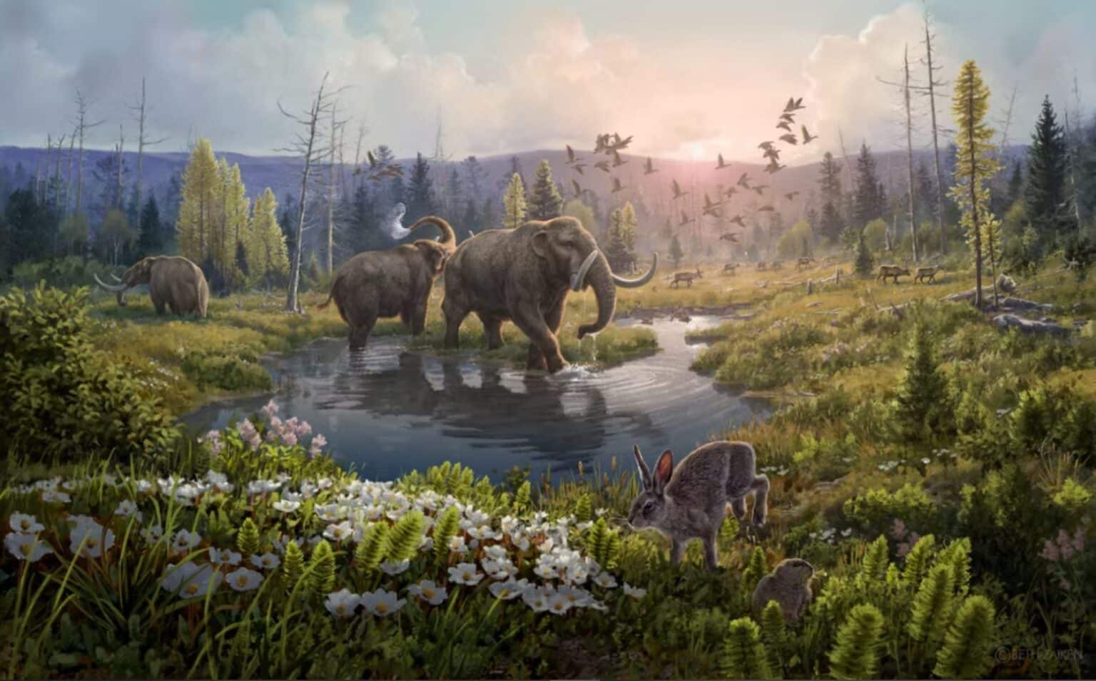 La reconstruction d’un écosystème vieux de 2 millions d'années à partir d'ADN ancien dévoile ...