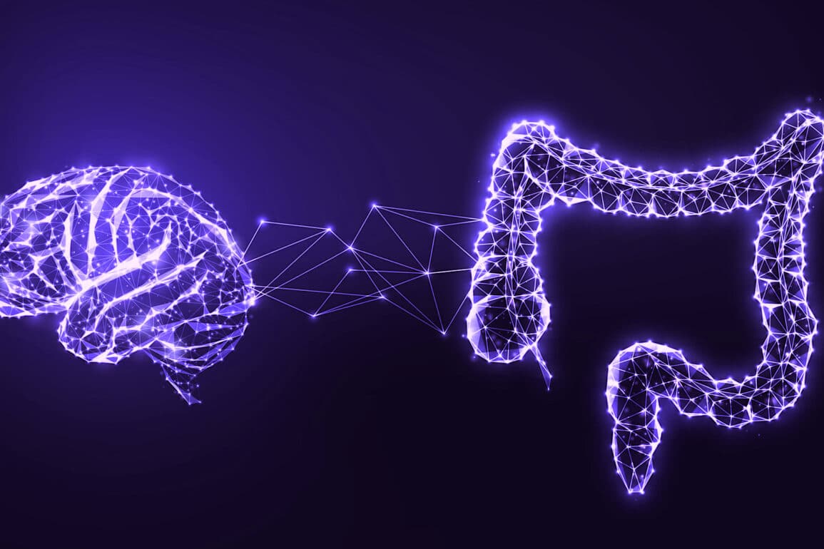 Comment fonctionne la blockchain Comment fonctionne la blockchain