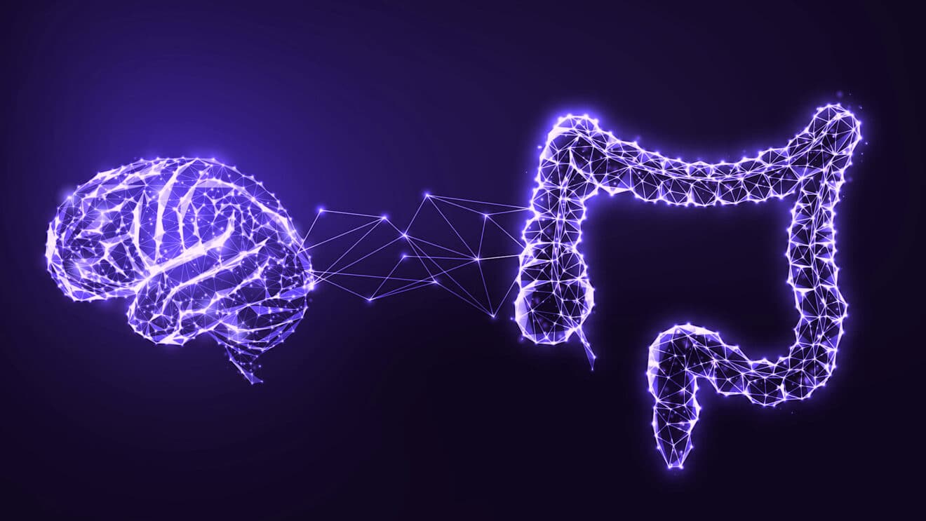 Microbiote intestinal : un nouvel outil permet d’analyser avec ...