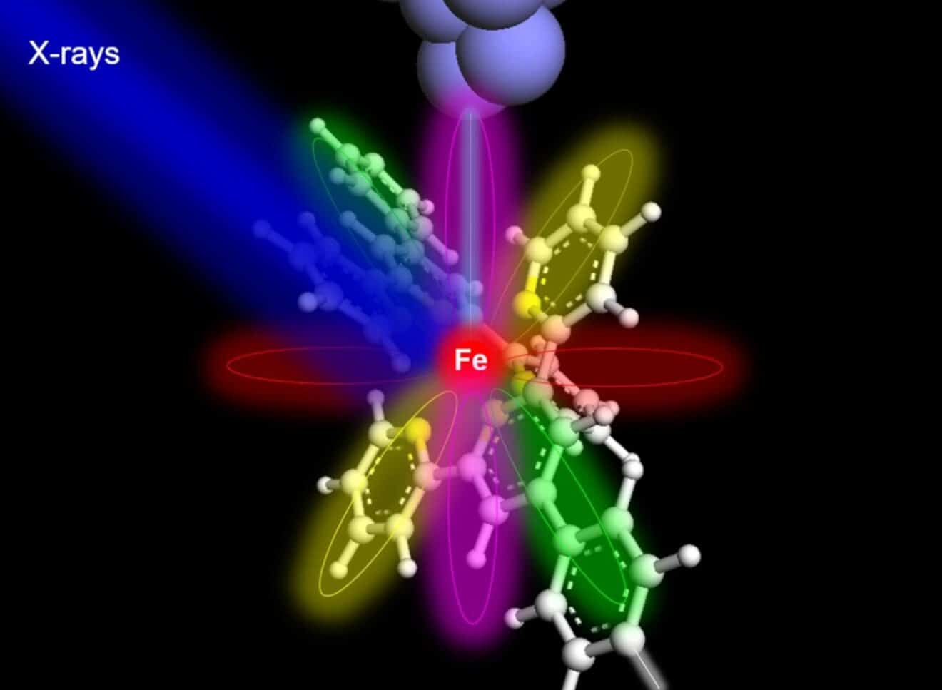 Des scientifiques effectuent la première radiographie au monde d'un ...