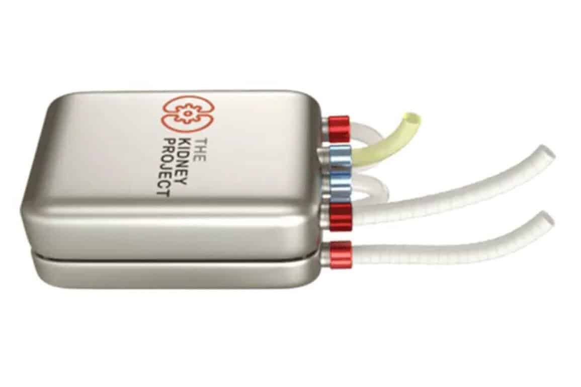 Un rein artificiel à bioréacteur contenant des cellules rénales (pas d ...