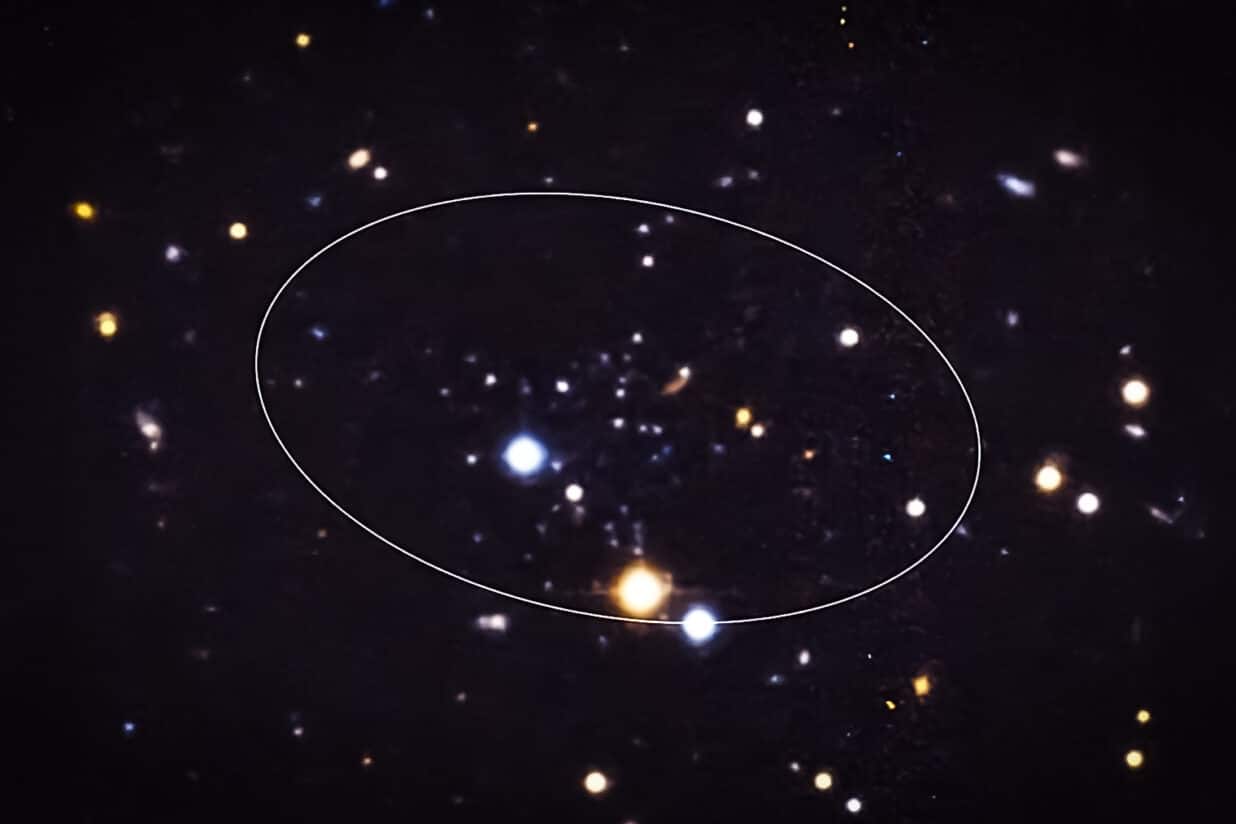 Qu'est-ce que l'explosion cambrienne